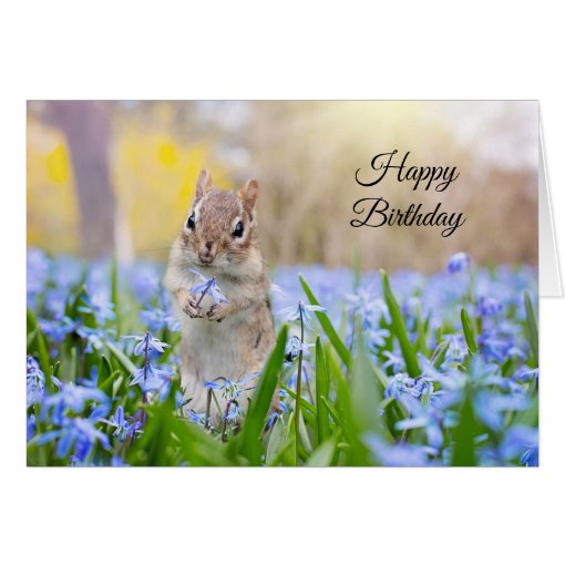 Chipmunk Birthday Card | Zazzle