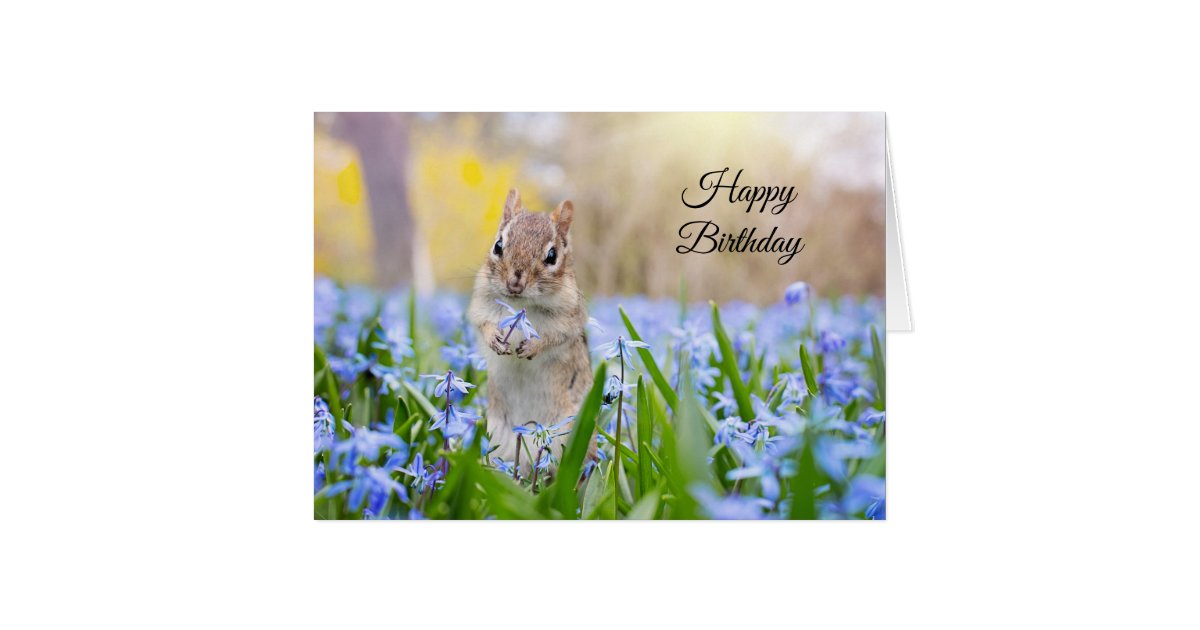 Chipmunk Birthday Card | Zazzle