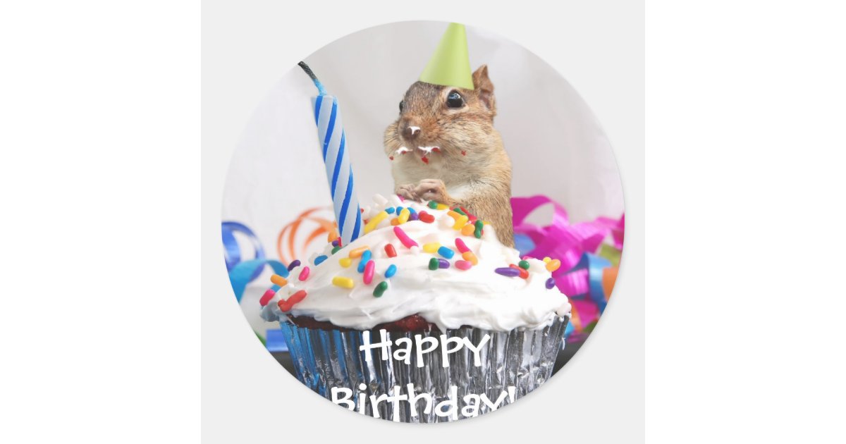 chipmunk birthday celebration classic round sticker | Zazzle