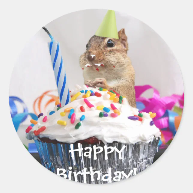chipmunk birthday celebration classic round sticker | Zazzle