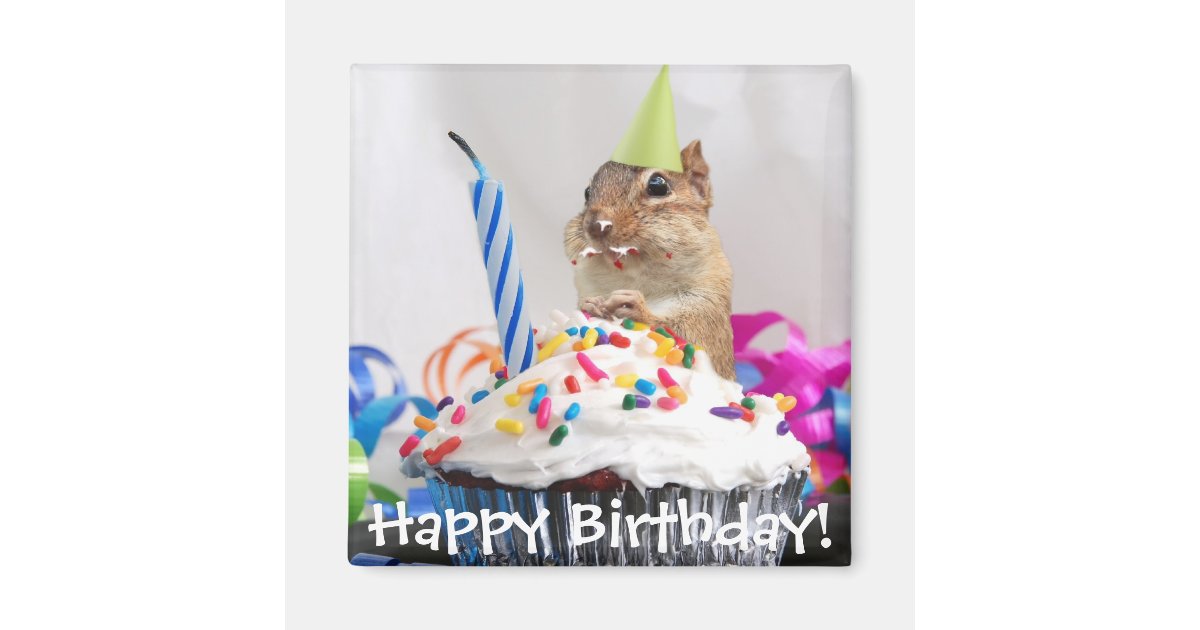 chipmunk birthday celebration magnet | Zazzle