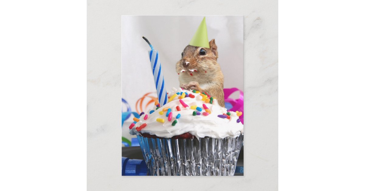chipmunk birthday celebration postcard | Zazzle