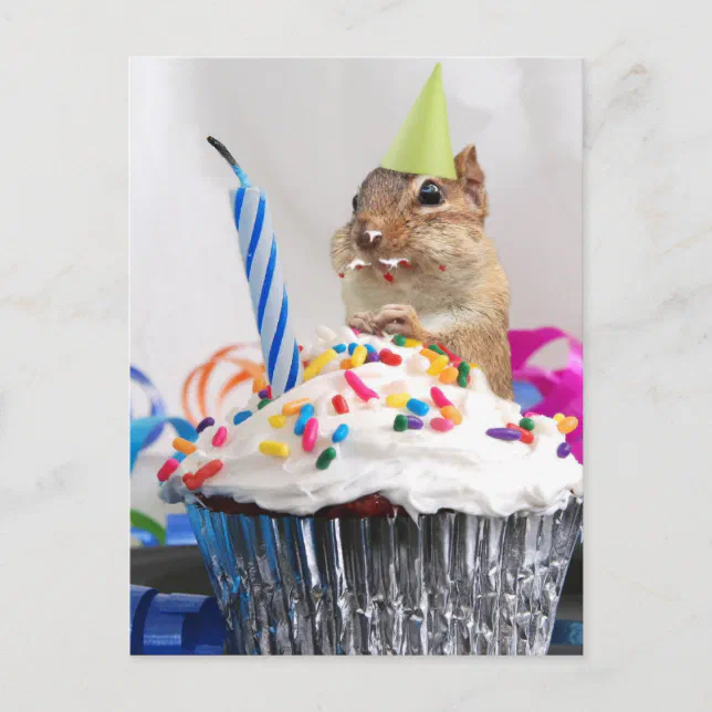chipmunk birthday celebration postcard | Zazzle