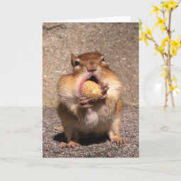 Chipmunk Card | Zazzle