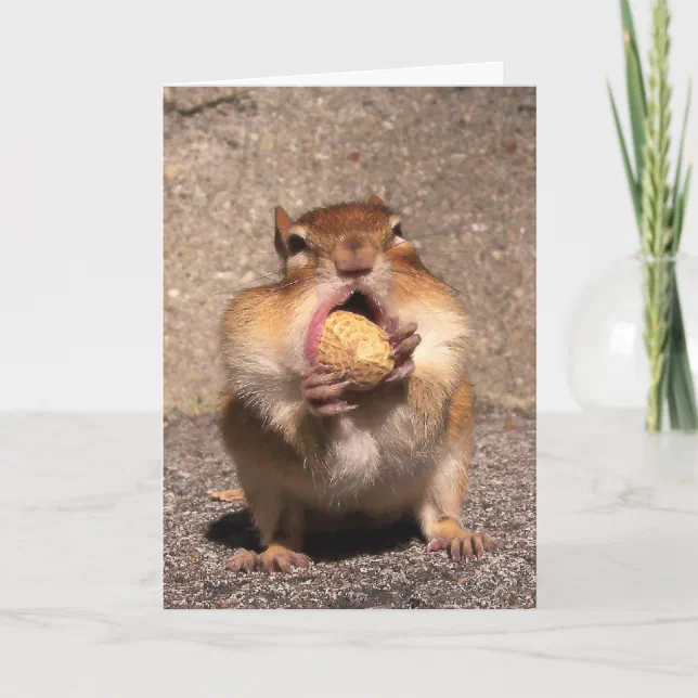 Chipmunk Card | Zazzle