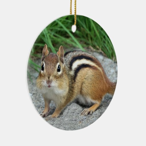 Chipmunk Ceramic Ornament | Zazzle