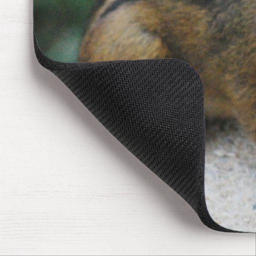 Chipmunk Cheeks Mouse Pad | Zazzle