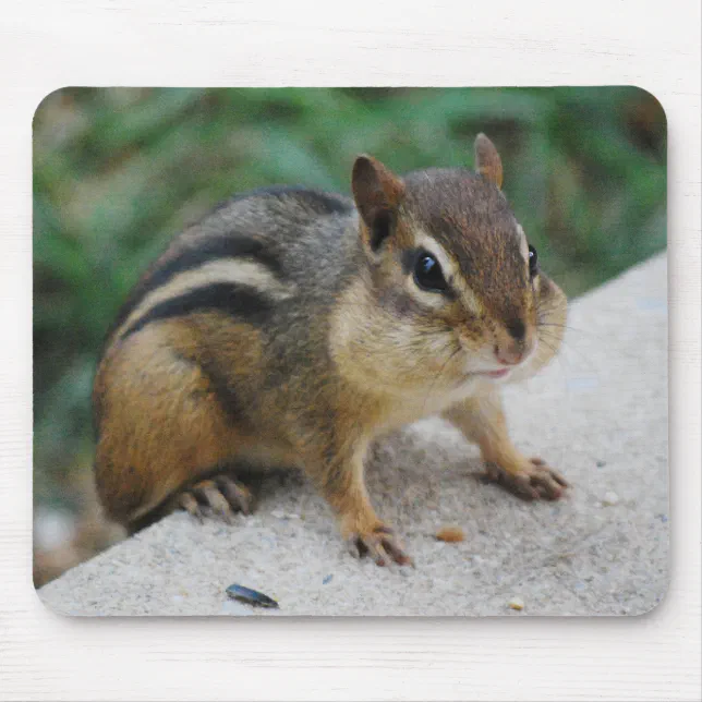 Chipmunk Cheeks Mouse Pad | Zazzle