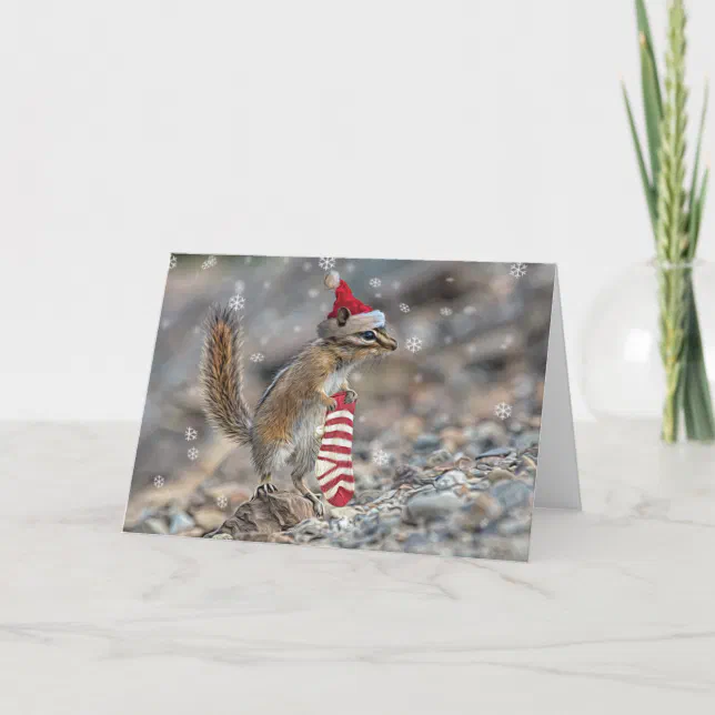 Chipmunk Christmas Card | Zazzle