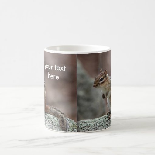 Chipmunk Coffee Mug | Zazzle