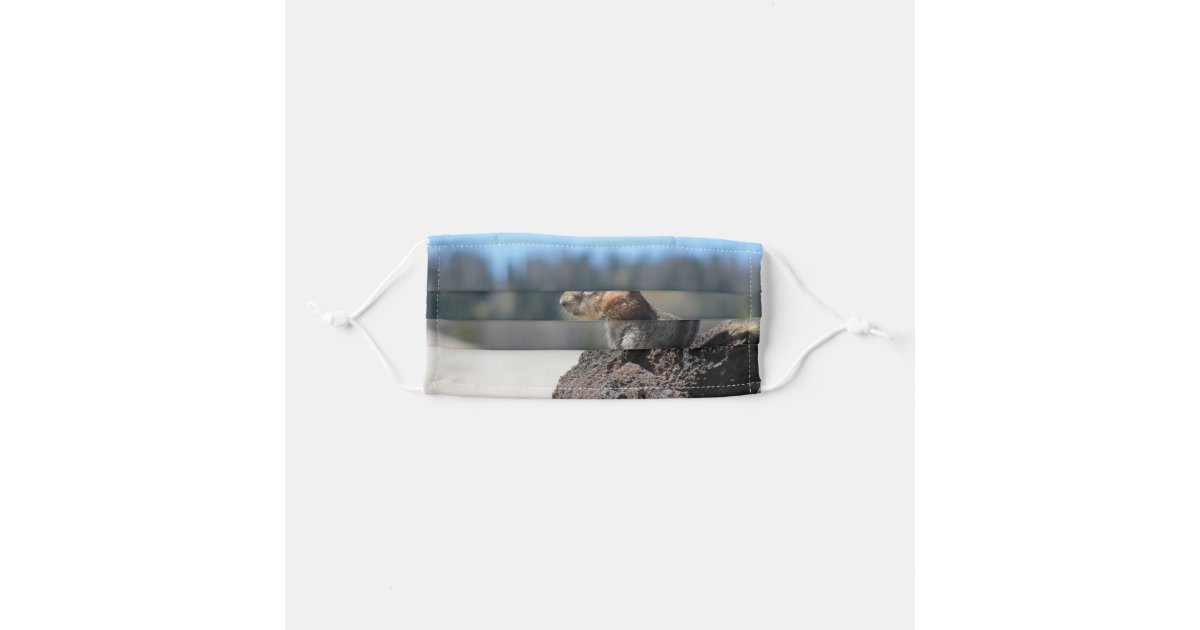 Chipmunk face mask | Zazzle