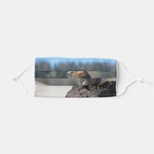Chipmunk face mask | Zazzle