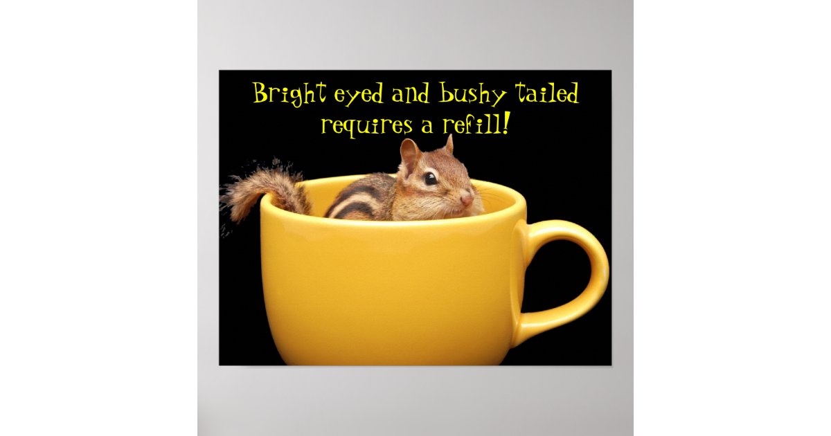 Chipmunk in coffee cup poster | Zazzle