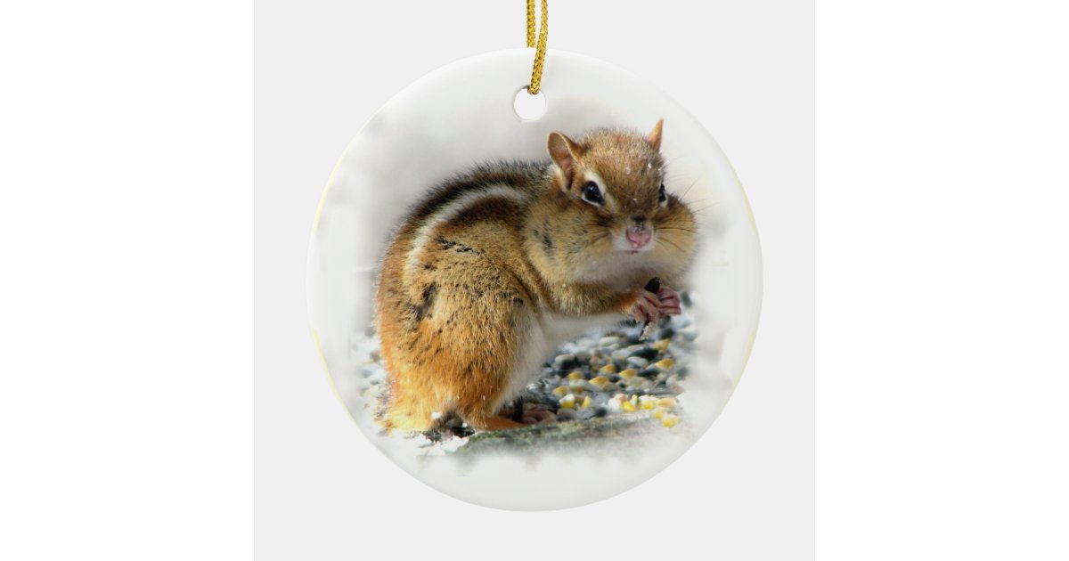 Chipmunk Ornament | Zazzle