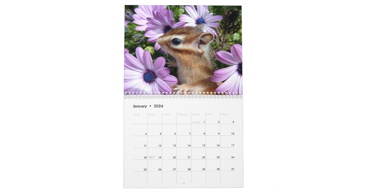 Chipmunk photo (3) calendar | Zazzle