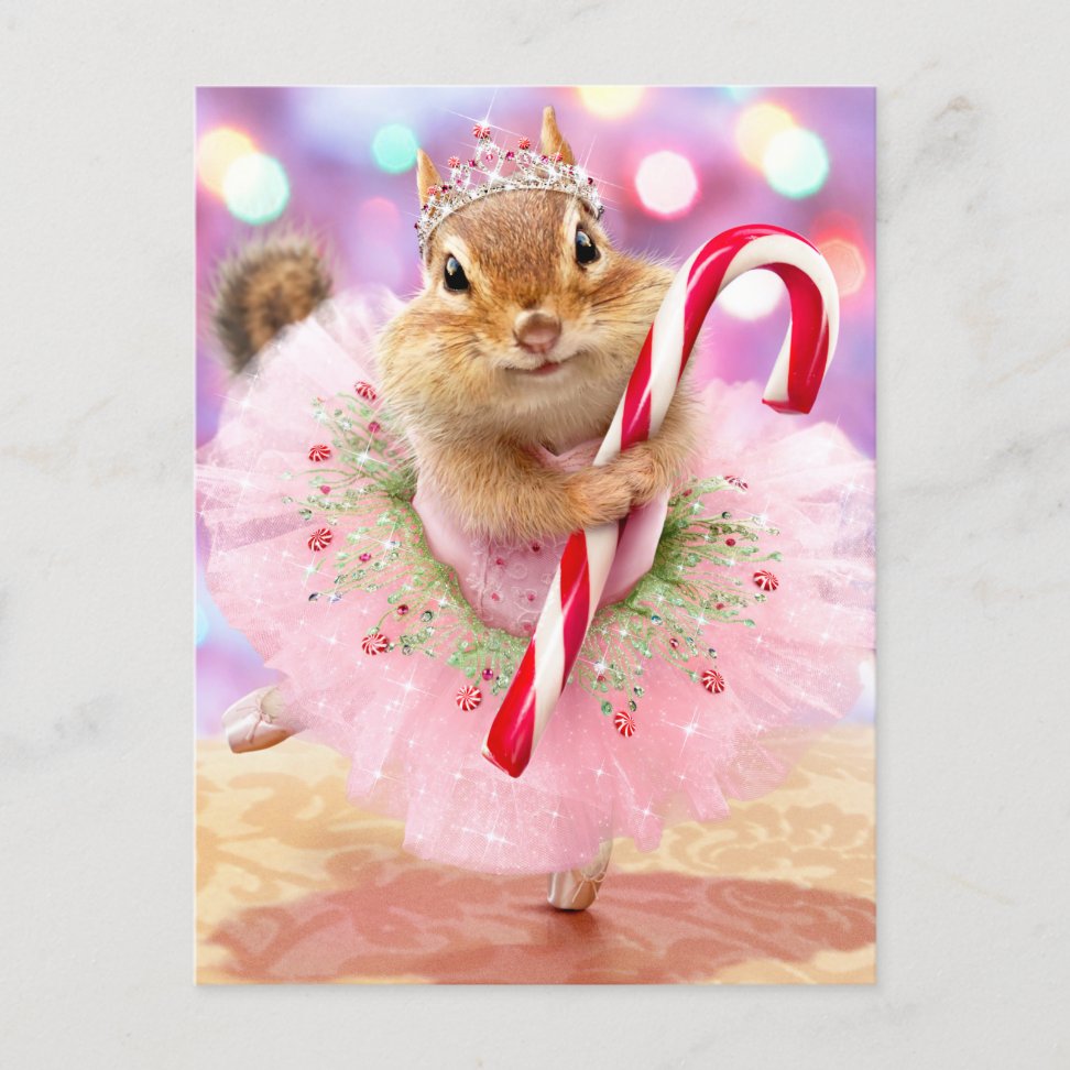 Avanti Press: Official Merchandise at Zazzle