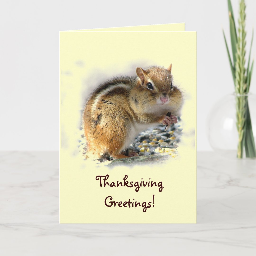 Chipmunk Thanksgiving Holiday Card | Zazzle