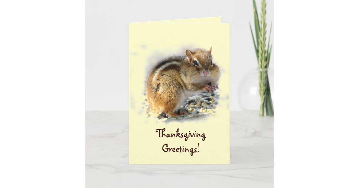 Chipmunk Thanksgiving Holiday Card | Zazzle