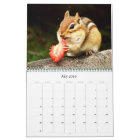 Chipmunks! A Super Cute 2015 Wall Calendar | Zazzle