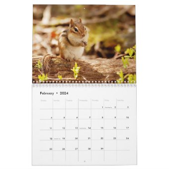 Chipmunks! A Super Cute 2015 Wall Calendar | Zazzle