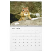 Chipmunks! A Super Cute 2015 Wall Calendar | Zazzle