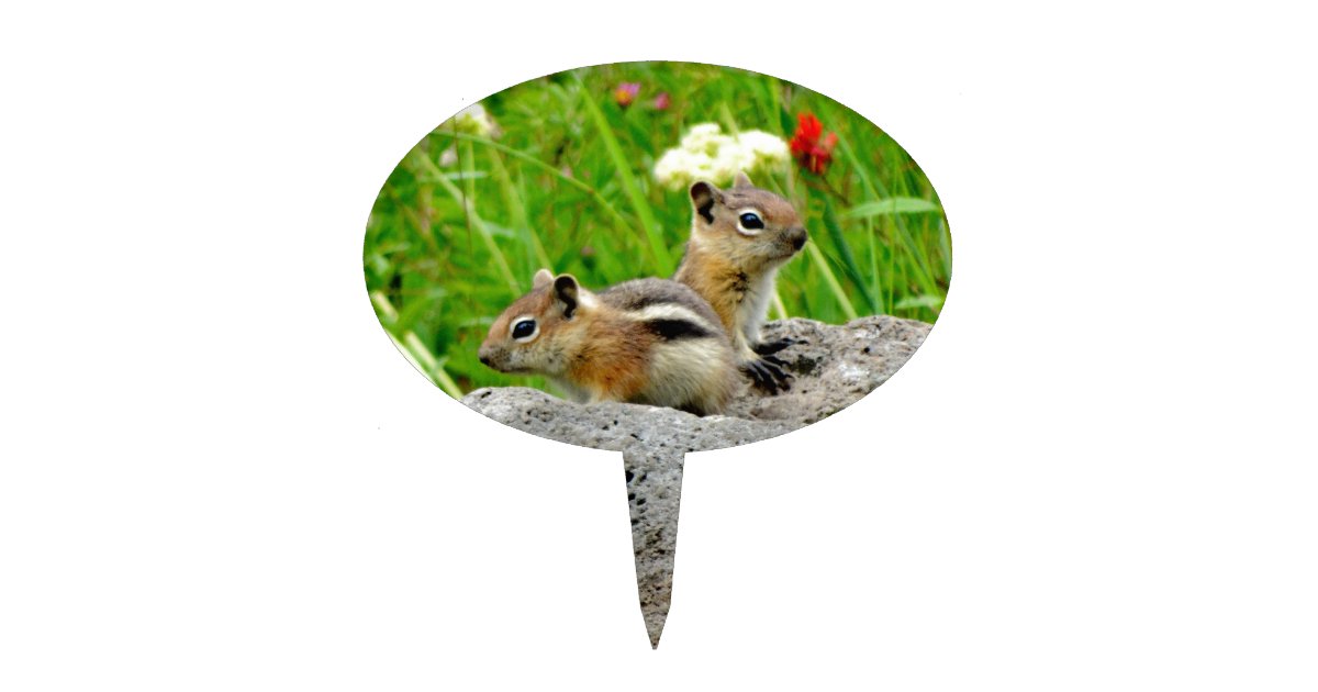 Chipmunks and wildflowers cake topper | Zazzle