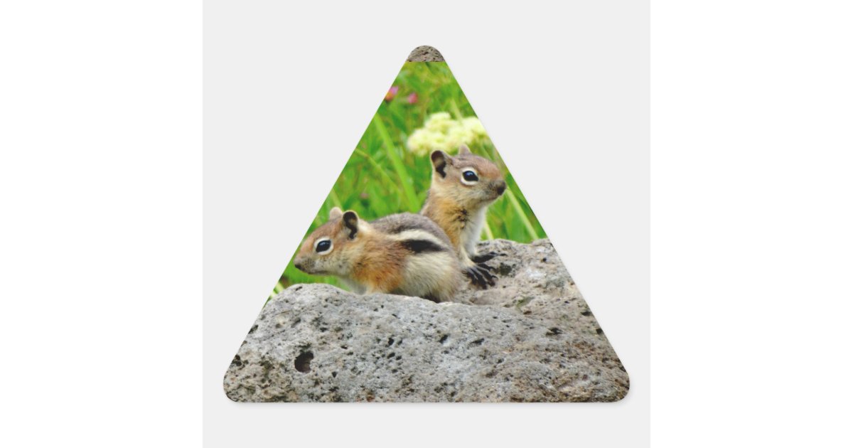 Chipmunks and wildflowers triangle sticker | Zazzle
