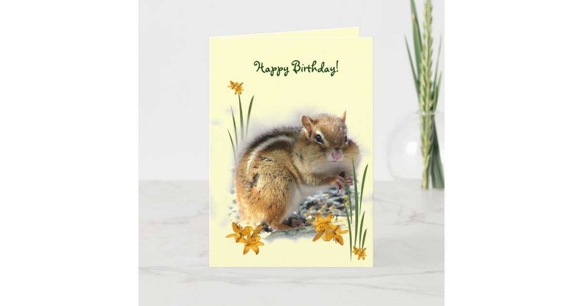 Chipmunk's Birthday Card | Zazzle