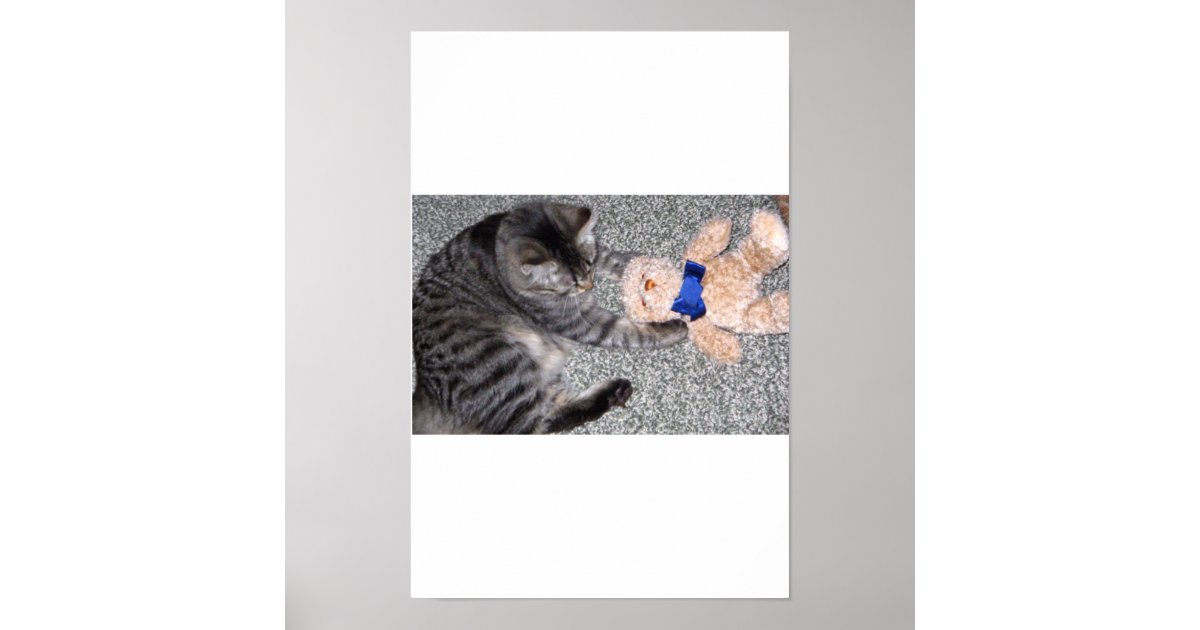 "Chiro-Cat" Poster | Zazzle