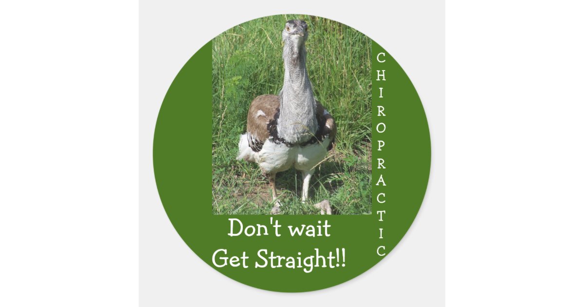 CHIROPRACTIC CLASSIC ROUND STICKER | Zazzle