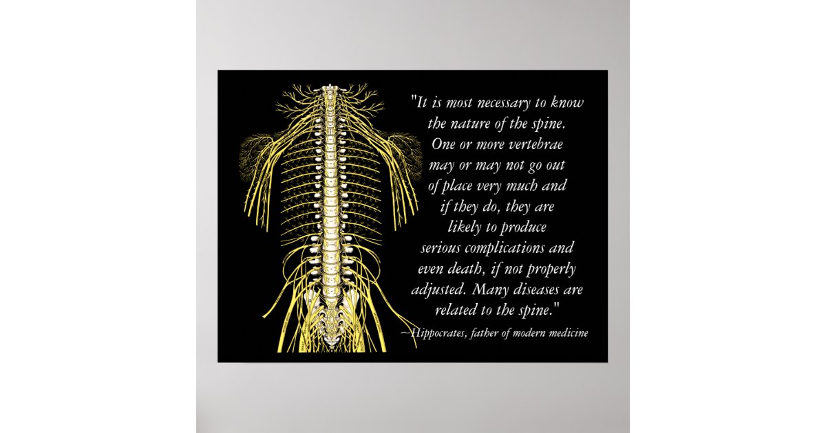 Chiropractic Health Quotes Hippocrates Poster | Zazzle