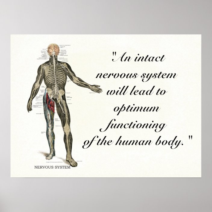 Chiropractic Health Quotes & Sayings Poster | Zazzle.com