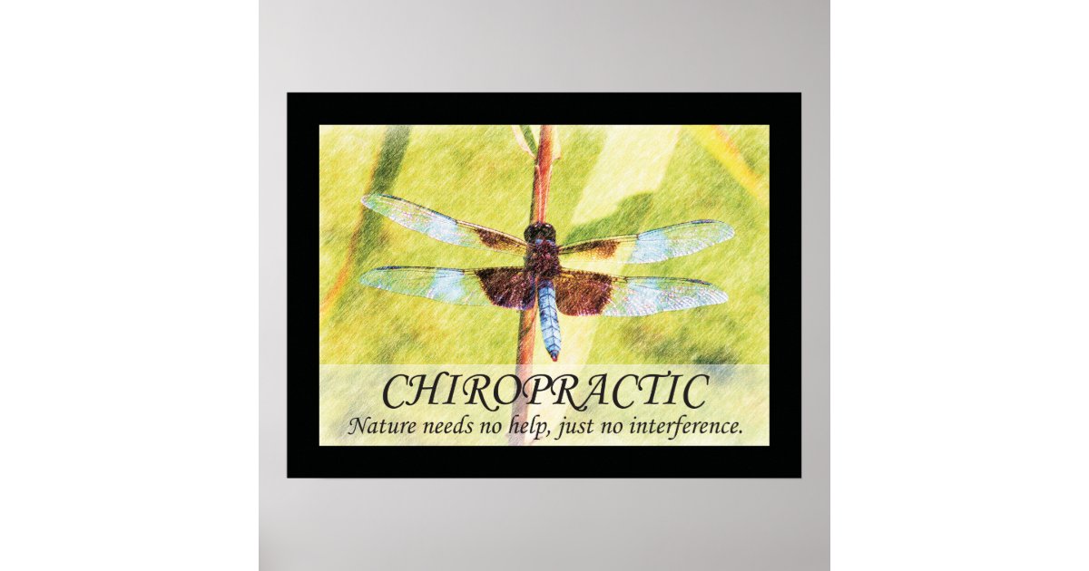 Chiropractic Quotes and Sayings Nature Poster | Zazzle