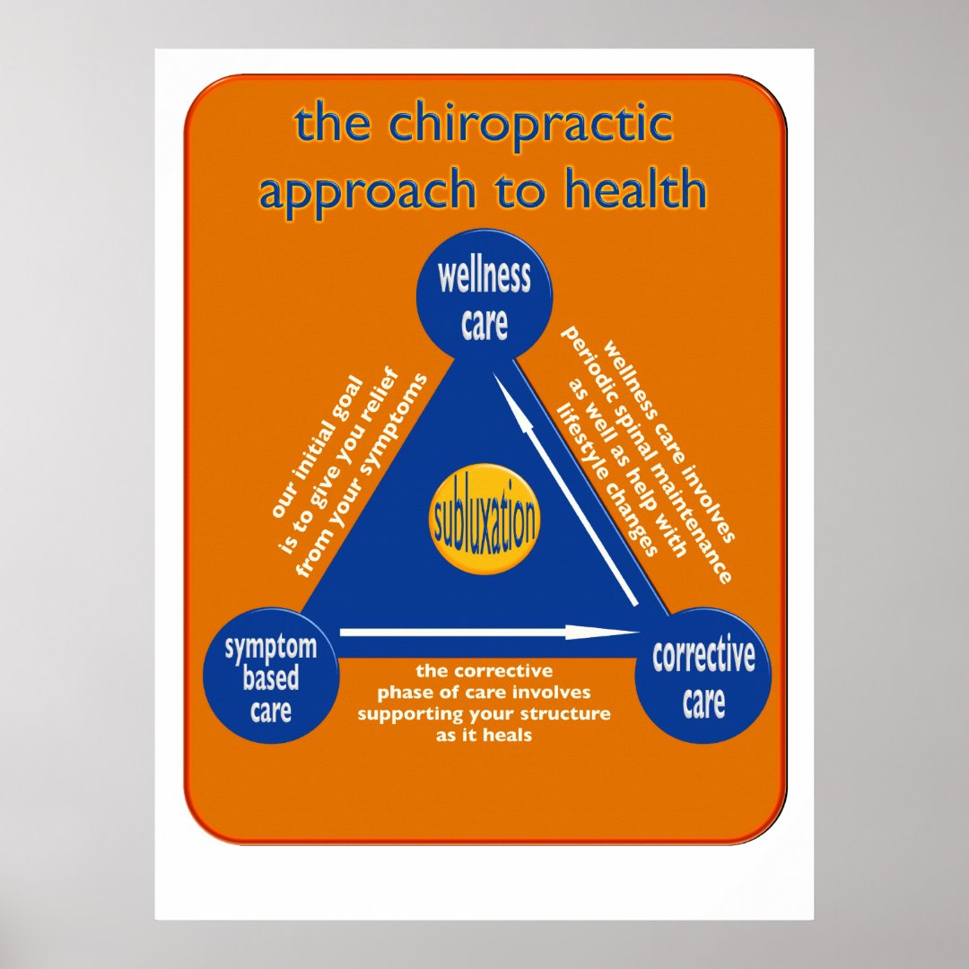 chiropractic types of care triangle poster | Zazzle
