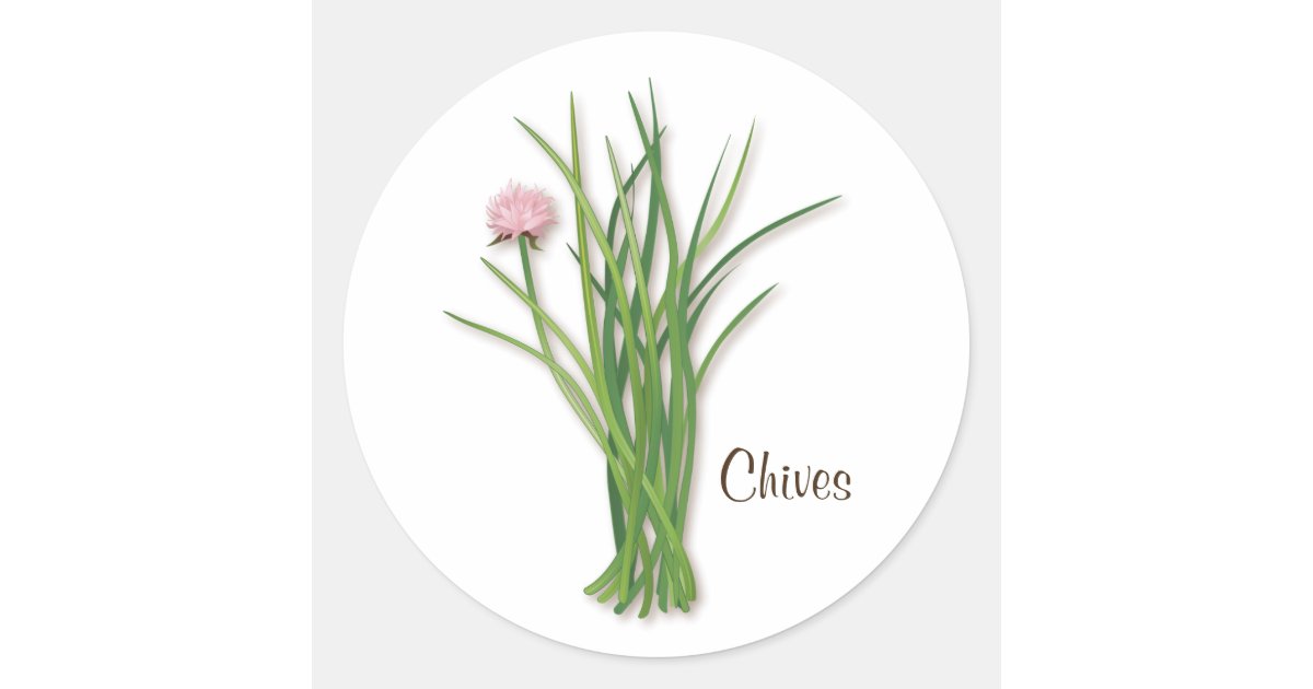 Chives Round Sticker | Zazzle