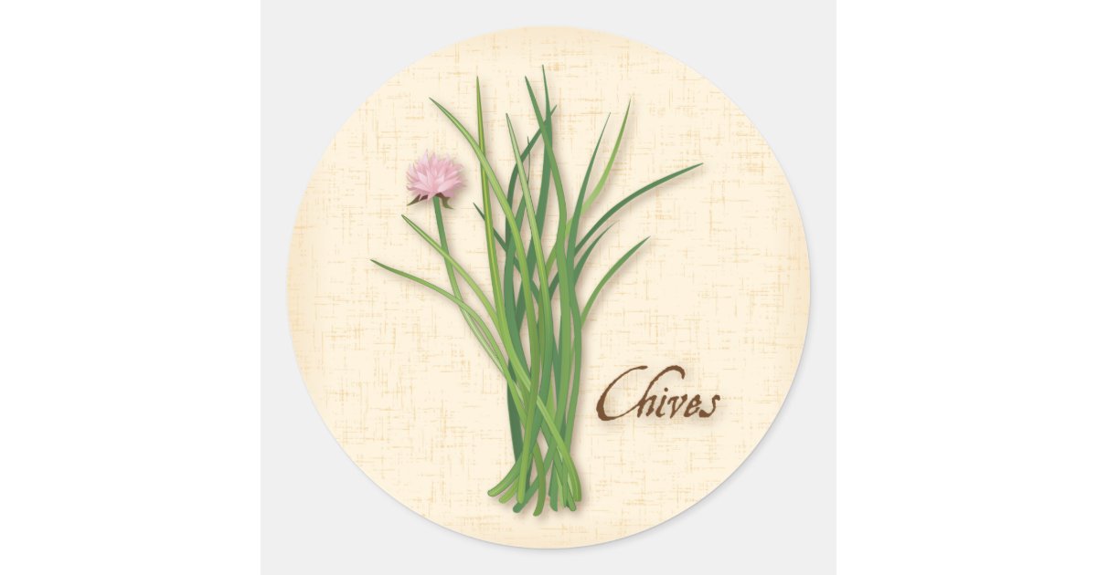 Chives Sticker | Zazzle