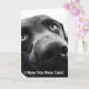 Chocolate Lab Birthday Greeting Card | Zazzle