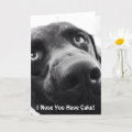 Chocolate Lab Birthday Greeting Card | Zazzle