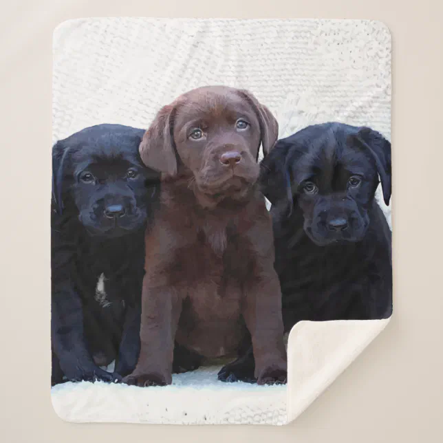 Chocolate Lab - Black Labrador Puppies Sherpa Blanket | Zazzle