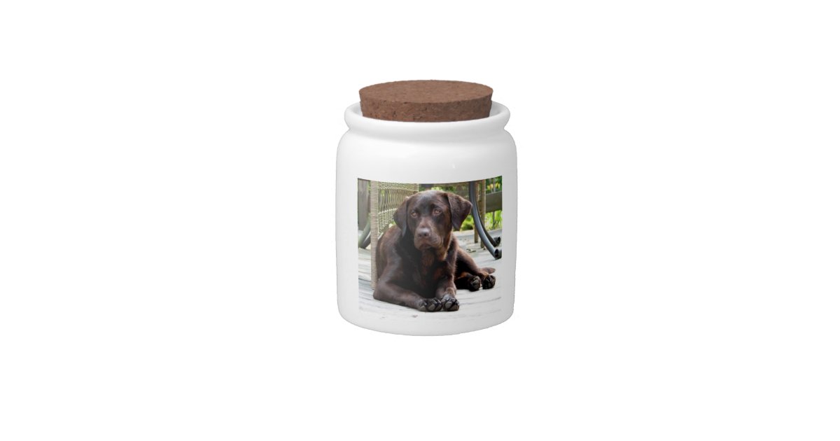 Chocolate Lab Candy Jar | Zazzle