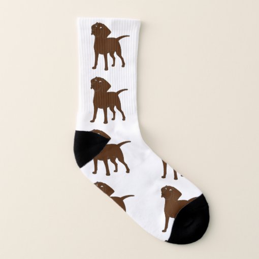chocolate lab cartoon full 3 socks | Zazzle