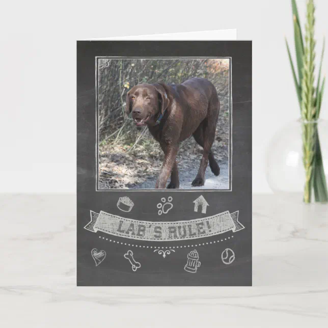Chocolate Lab Chalkboard Birthday Card | Zazzle