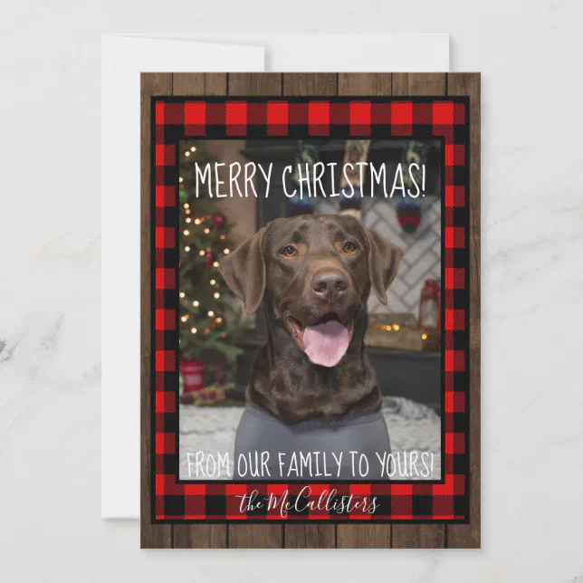 Chocolate Lab Christmas Card | Zazzle