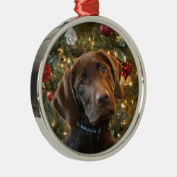 Chocolate Lab Christmas Ornament | Zazzle
