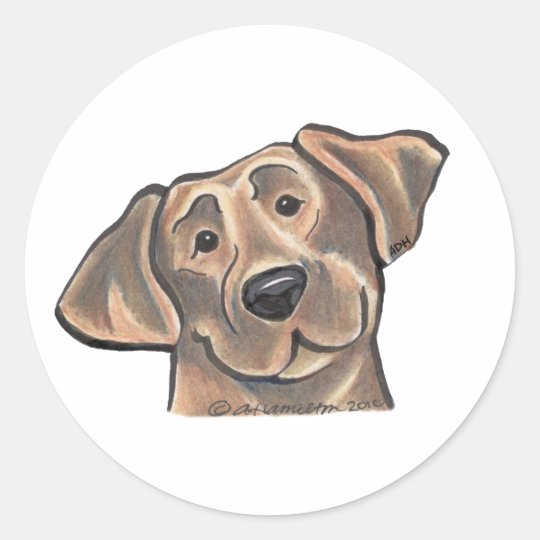 Chocolate Lab Face Classic Round Sticker | Zazzle.com