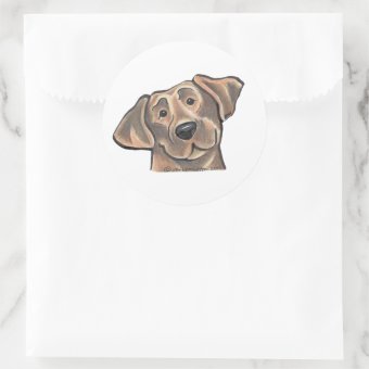 Chocolate Lab Face Classic Round Sticker | Zazzle