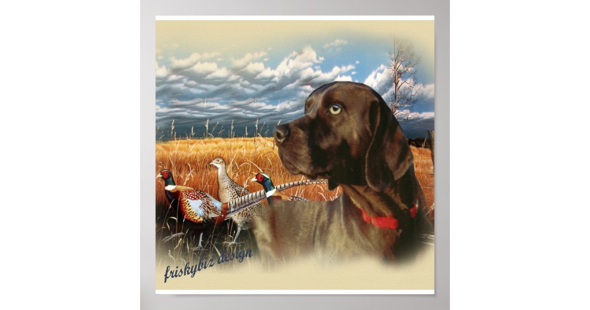 Chocolate Lab Hunts Poster | Zazzle