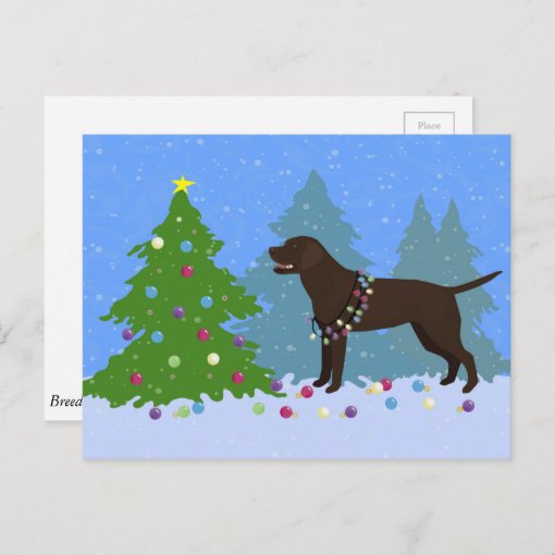 Chocolate Lab in Forest Decorating Christmas Tree Holiday Postcard | Zazzle