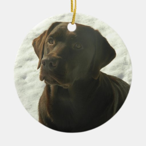 Chocolate Lab in The Snow Ceramic Ornament | Zazzle