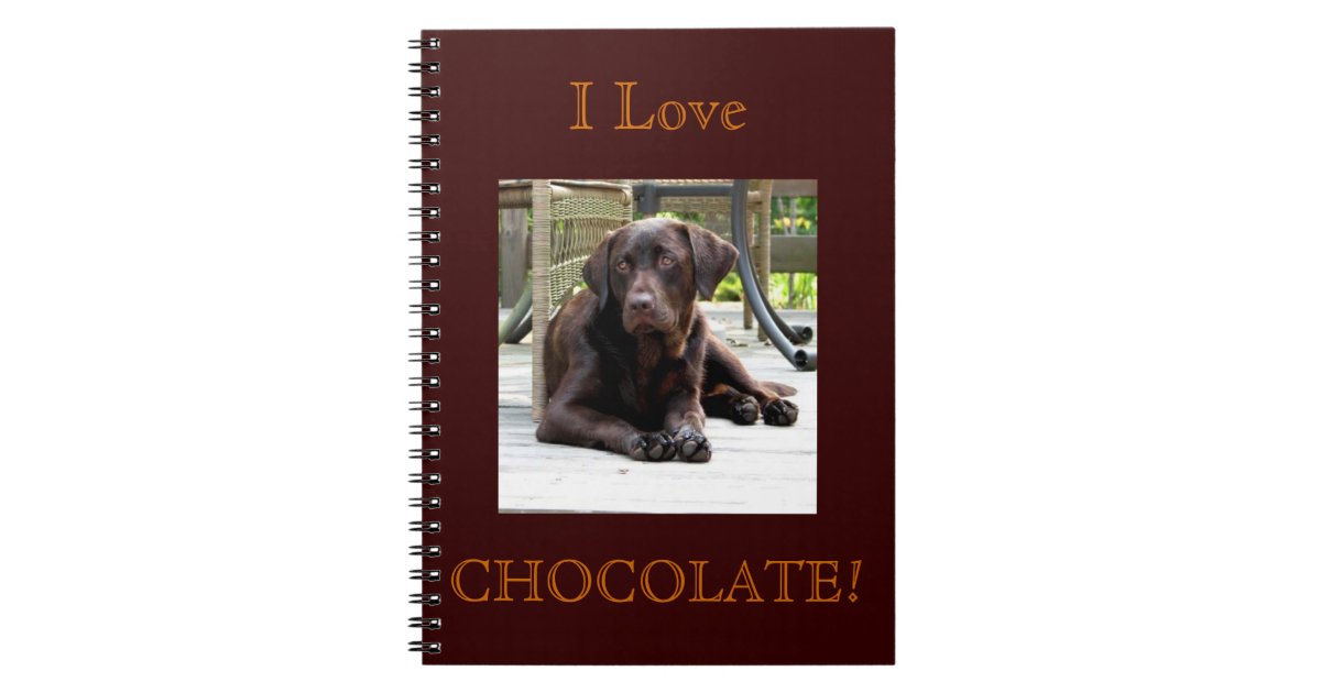 Chocolate Lab Notebook | Zazzle
